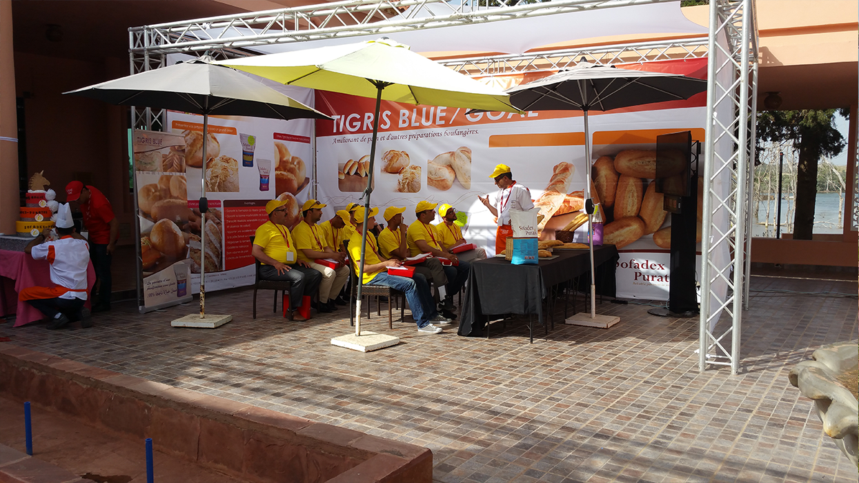 Team-Building - Hotel Dar Eddaya - Khémisset - Maroc